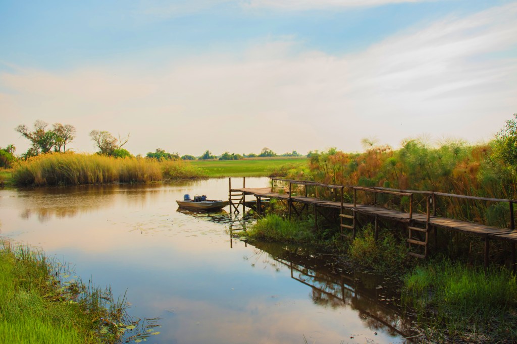 Top 10 Reasons to visit Botswana - Delusional Bubble